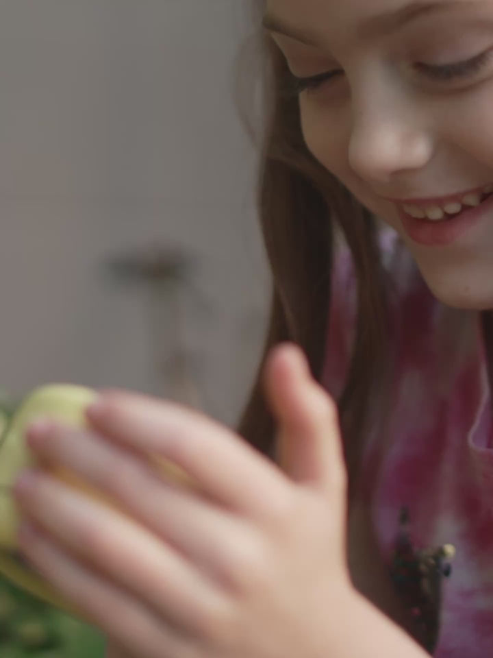 Dex Camera - the Language Learning Camera